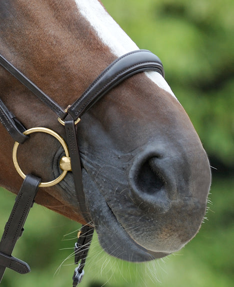 Passier Dropped Noseband – BitsNSuch