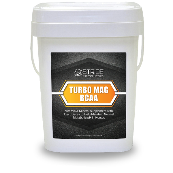Hydrate + Recover (Turbo Mag BCAA) – BitsNSuch